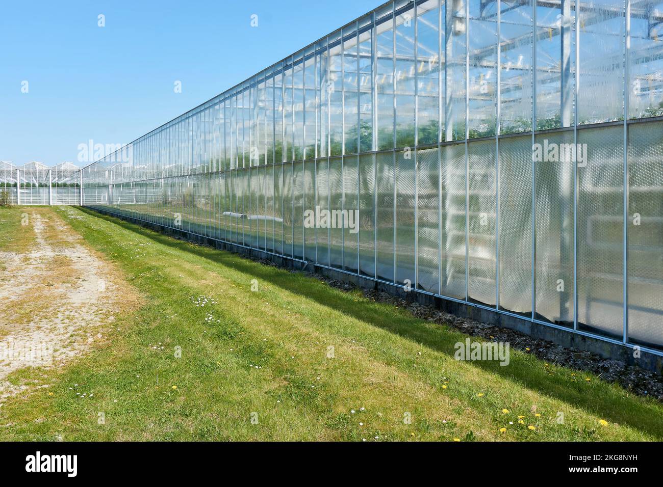 Row of greenhouses hi-res stock photography and images - Alamy