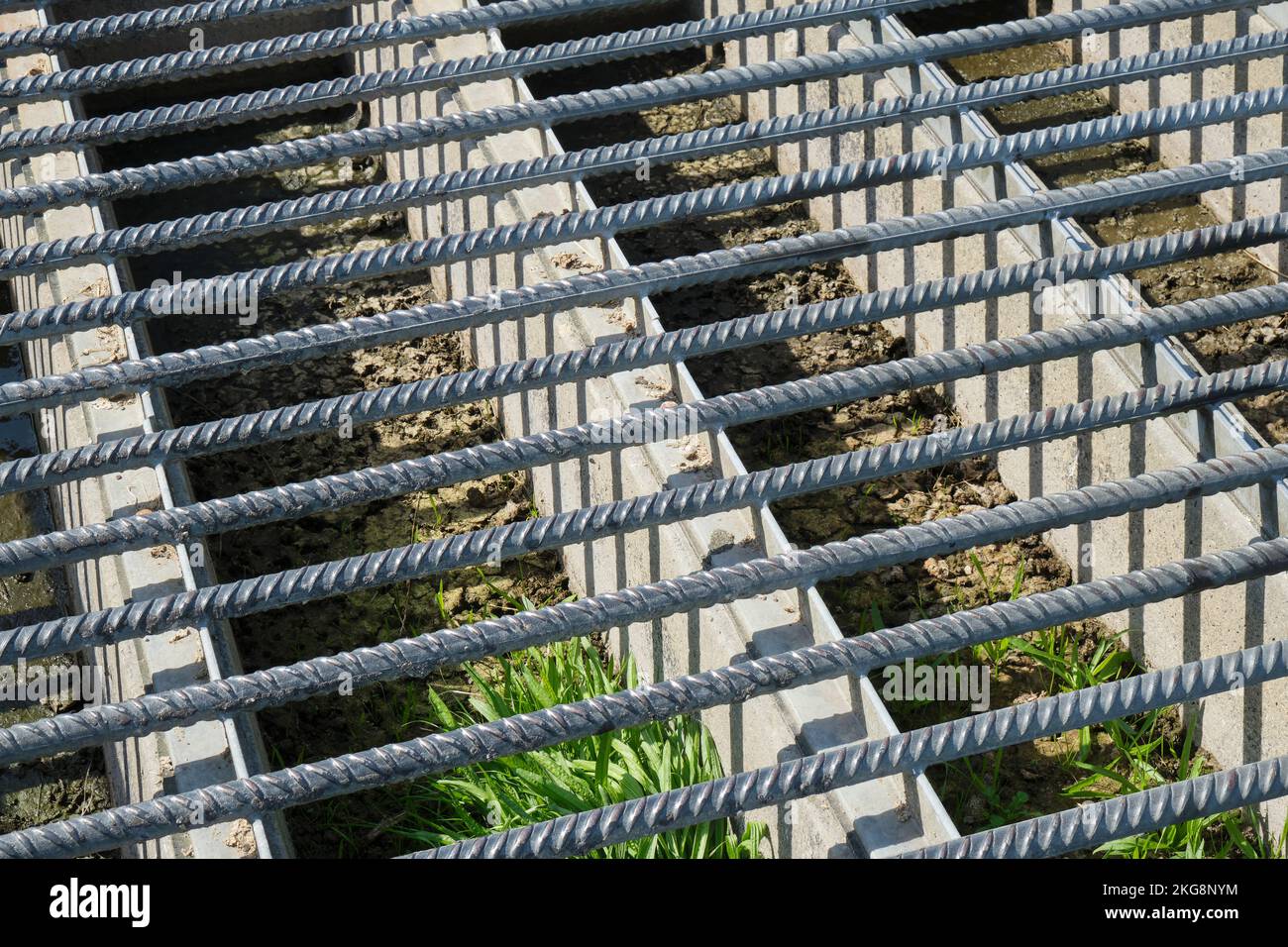 Closeup of metal cattle grid or cattle guard to prevent livestock from ...