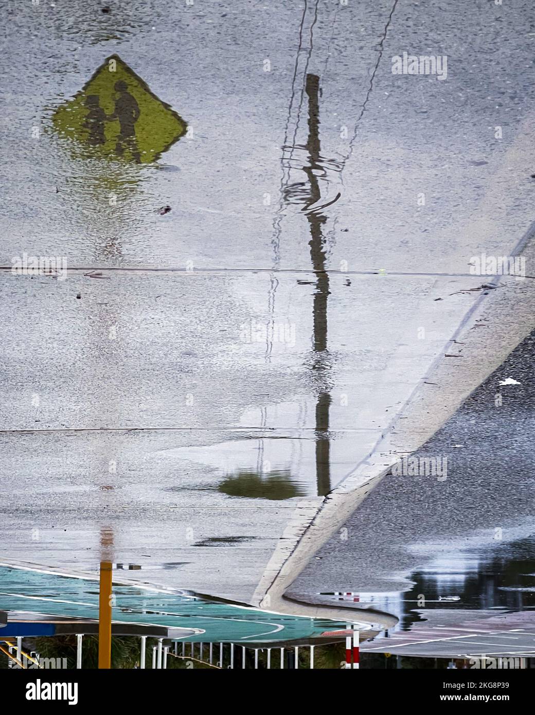 reflection of a pedestrian crossing sign in a puddle Stock Photo - Alamy