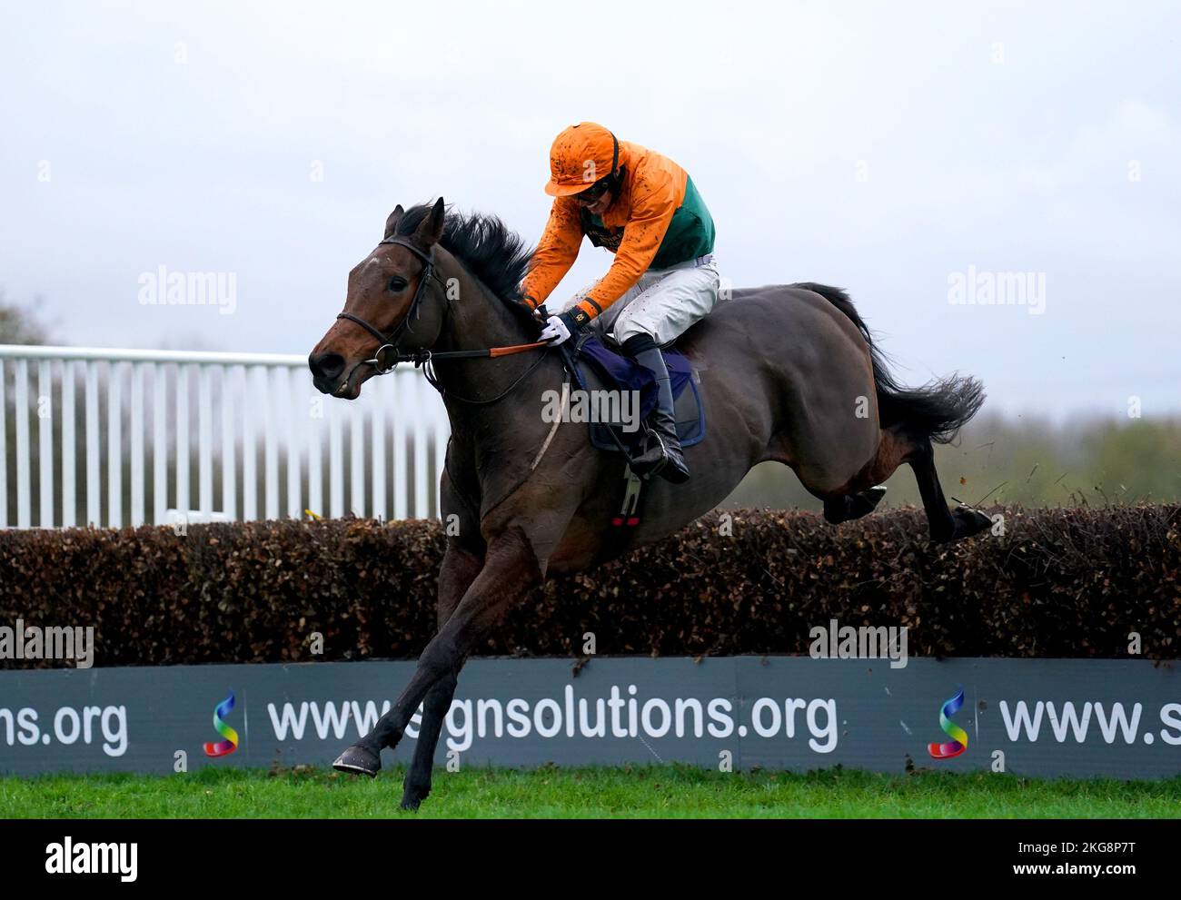 Blenkinsop horse hi-res stock photography and images - Alamy