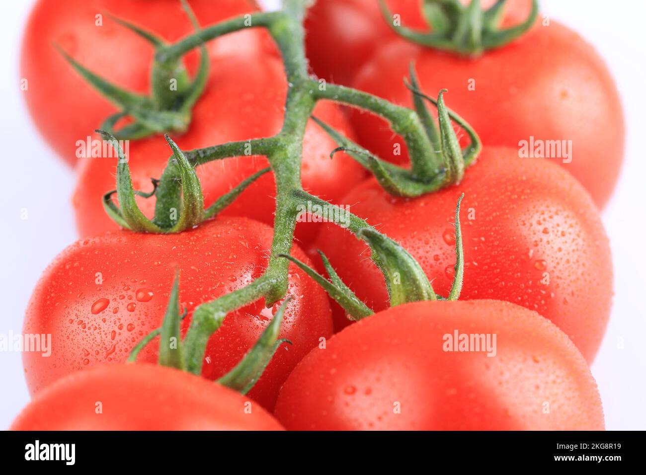 group of fresh twig tomatoes on white background Stock Photo - Alamy