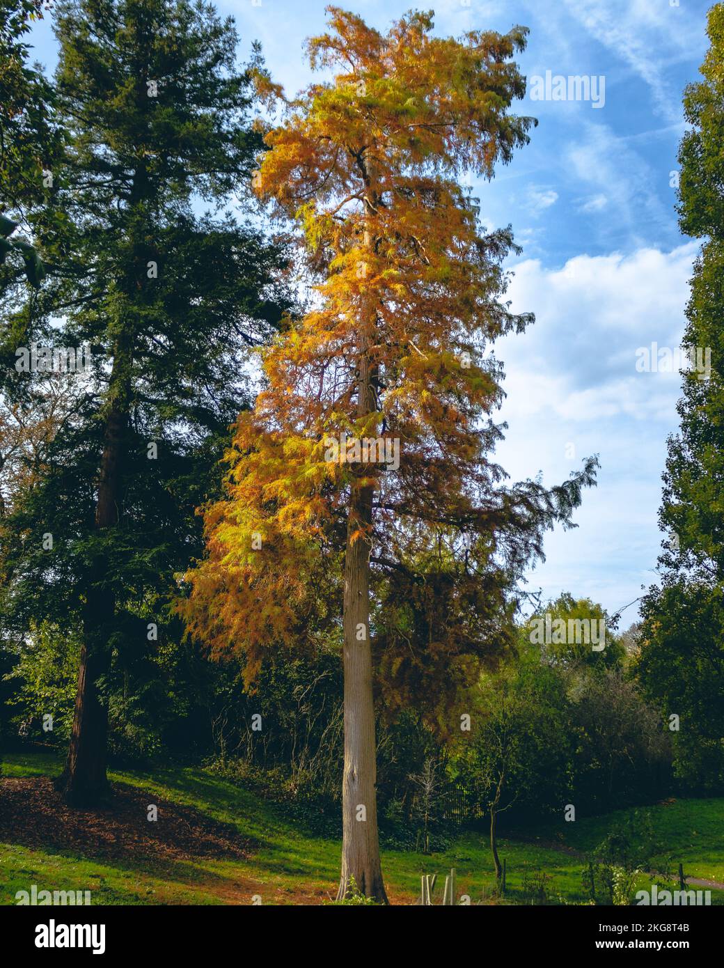 Stevens house in hi-res stock photography and images - Alamy