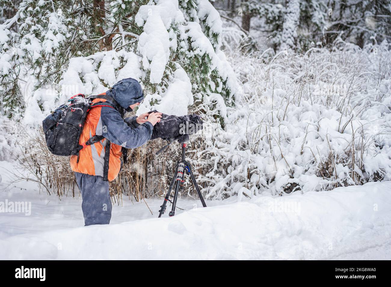 Professional Cameraman with camera shooting natural footage in snow ...