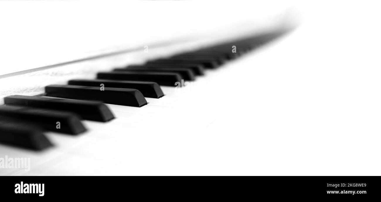 Bright white Piano keys on old musical instrument with high tone ebony ...