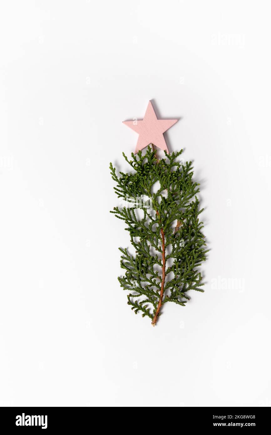 Christmas tree made of an evergreen tree branch and a pink star on ...