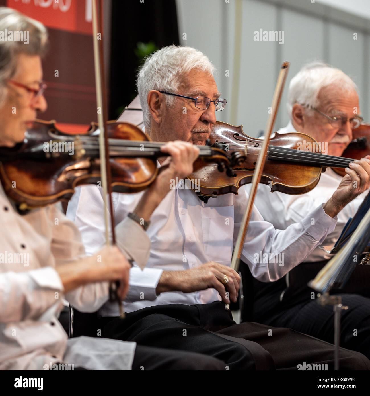 The old musicians playing violin in a small orchestra performance Stock ...