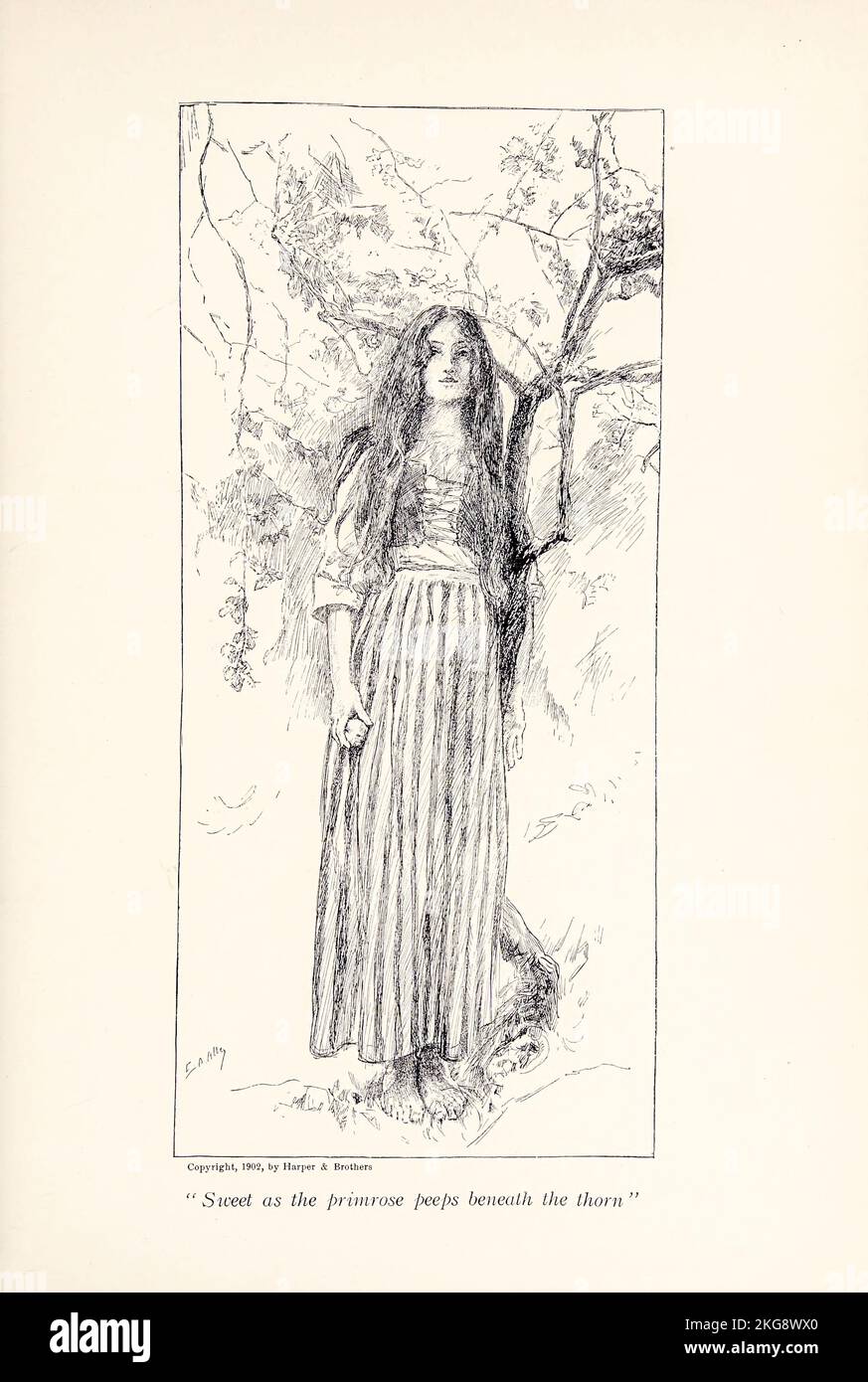 SWEET AS THE PRIMROSE PEEPS BENEATH THE THORN Illustration by Edwin A ...