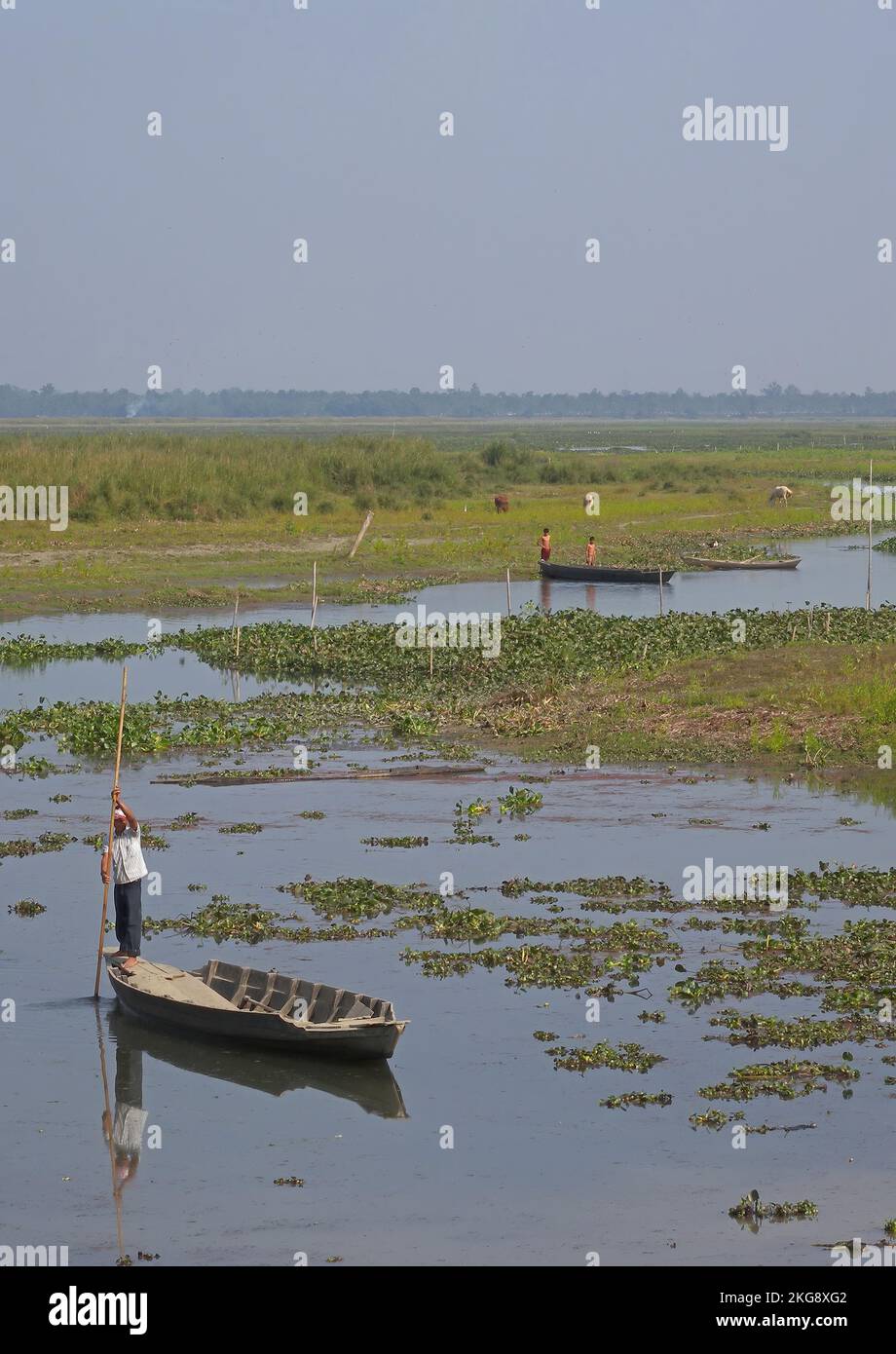 man punting on river Dibru-Saikhowa, Assam, India February Stock Photo ...