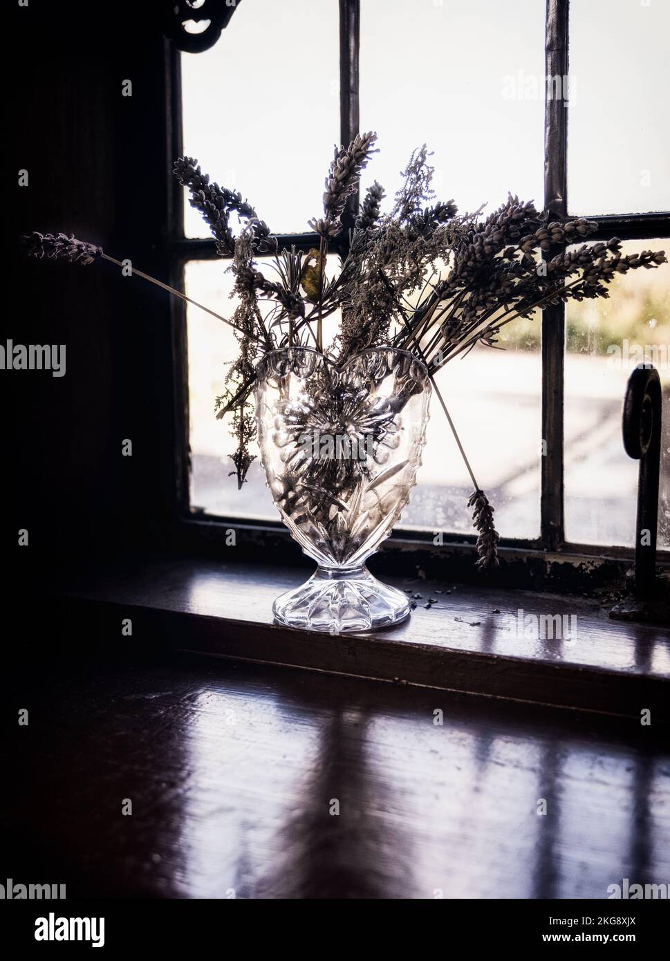 Dried lavender with broken strands in a cut crystal vase on a cottage ...