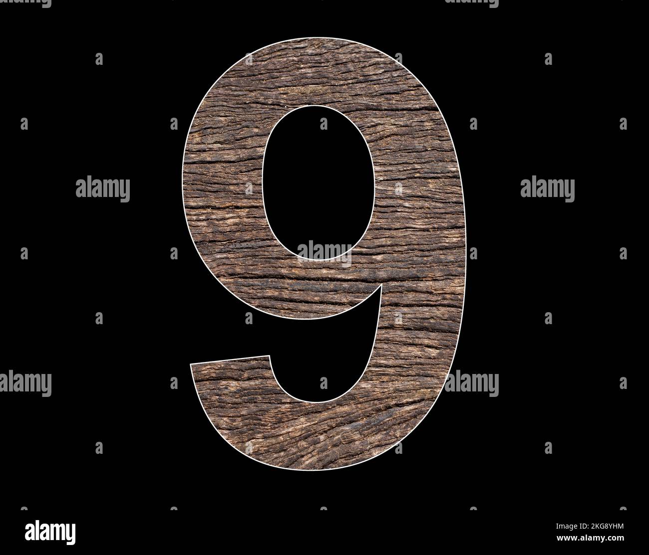 Nine bark hi-res stock photography and images - Alamy