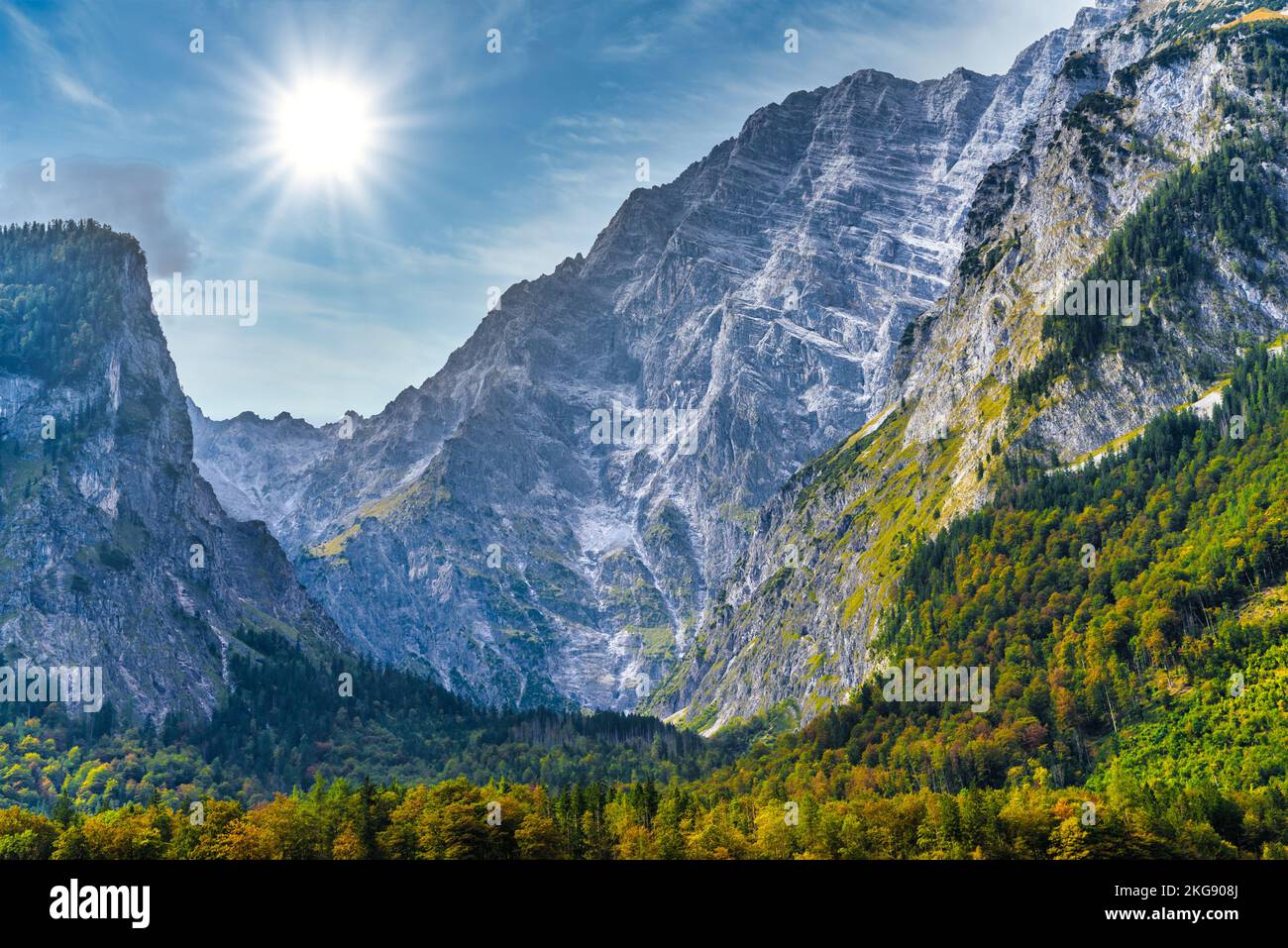 Alps mountains covered with forest in Berchtesgaden National Park ...