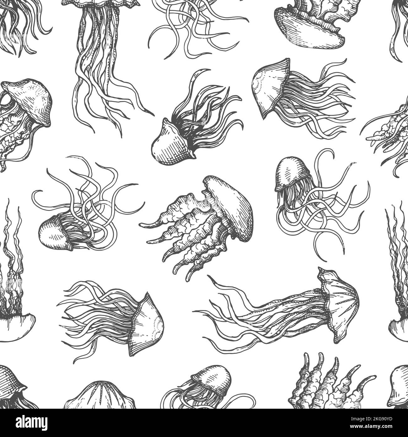 Jellyfish vintage sketch seamless pattern or jelly fish vector ...