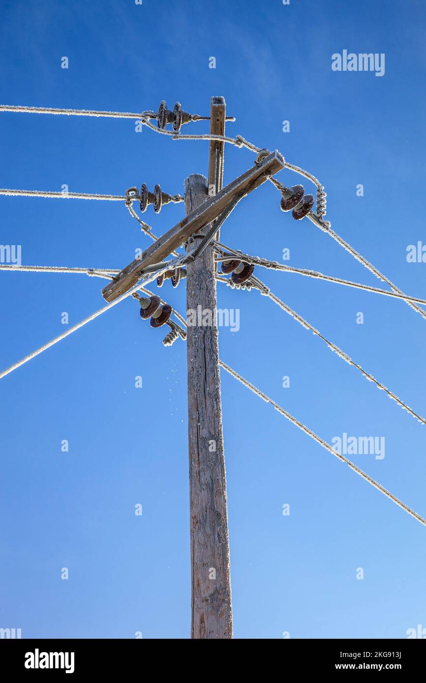 A wooden utility pole and power lines covered in hoar frost on a clear ...