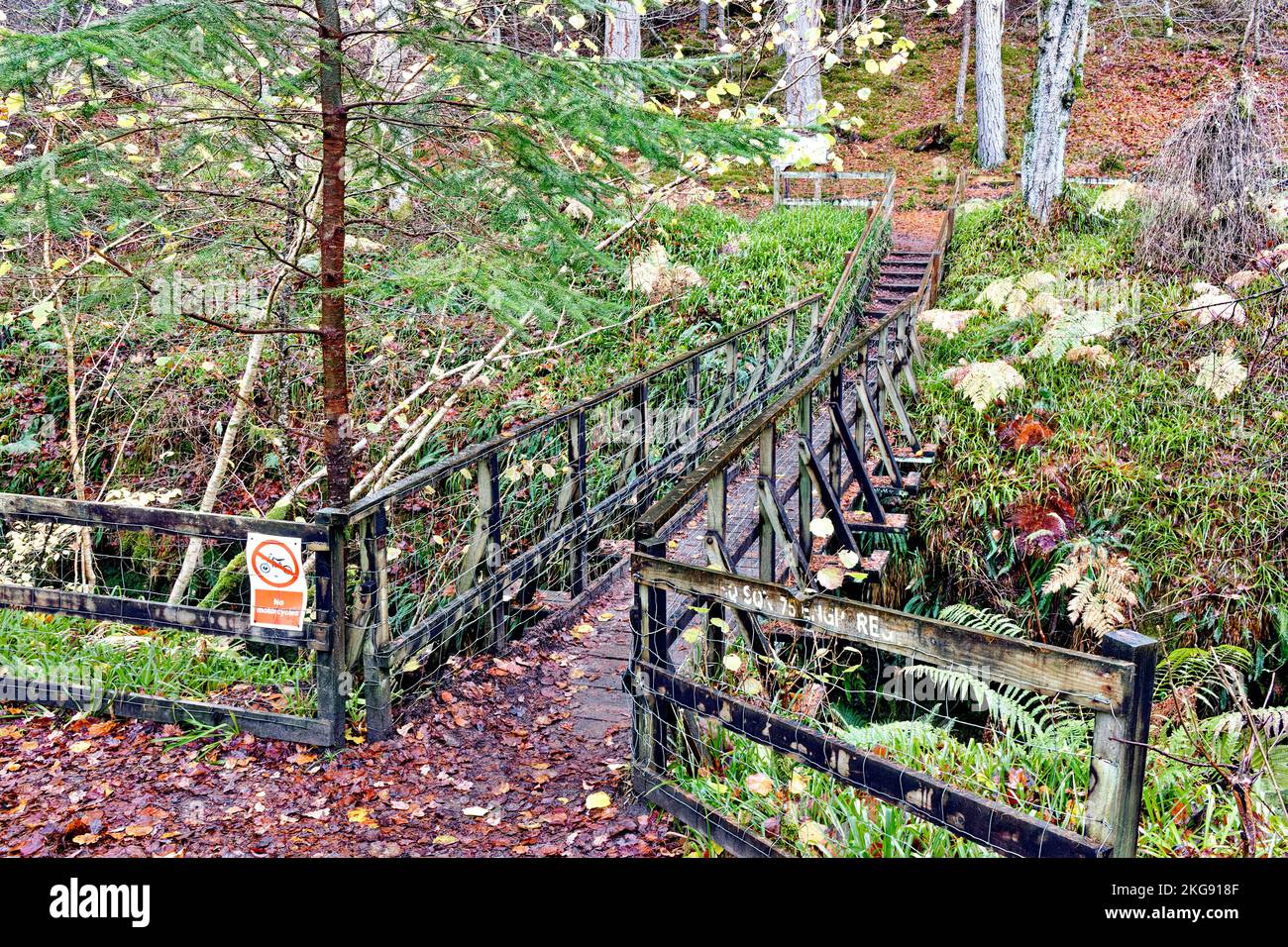 Black Rock Gorge Evanton Scotland the wooden bridge over the gorge and ...