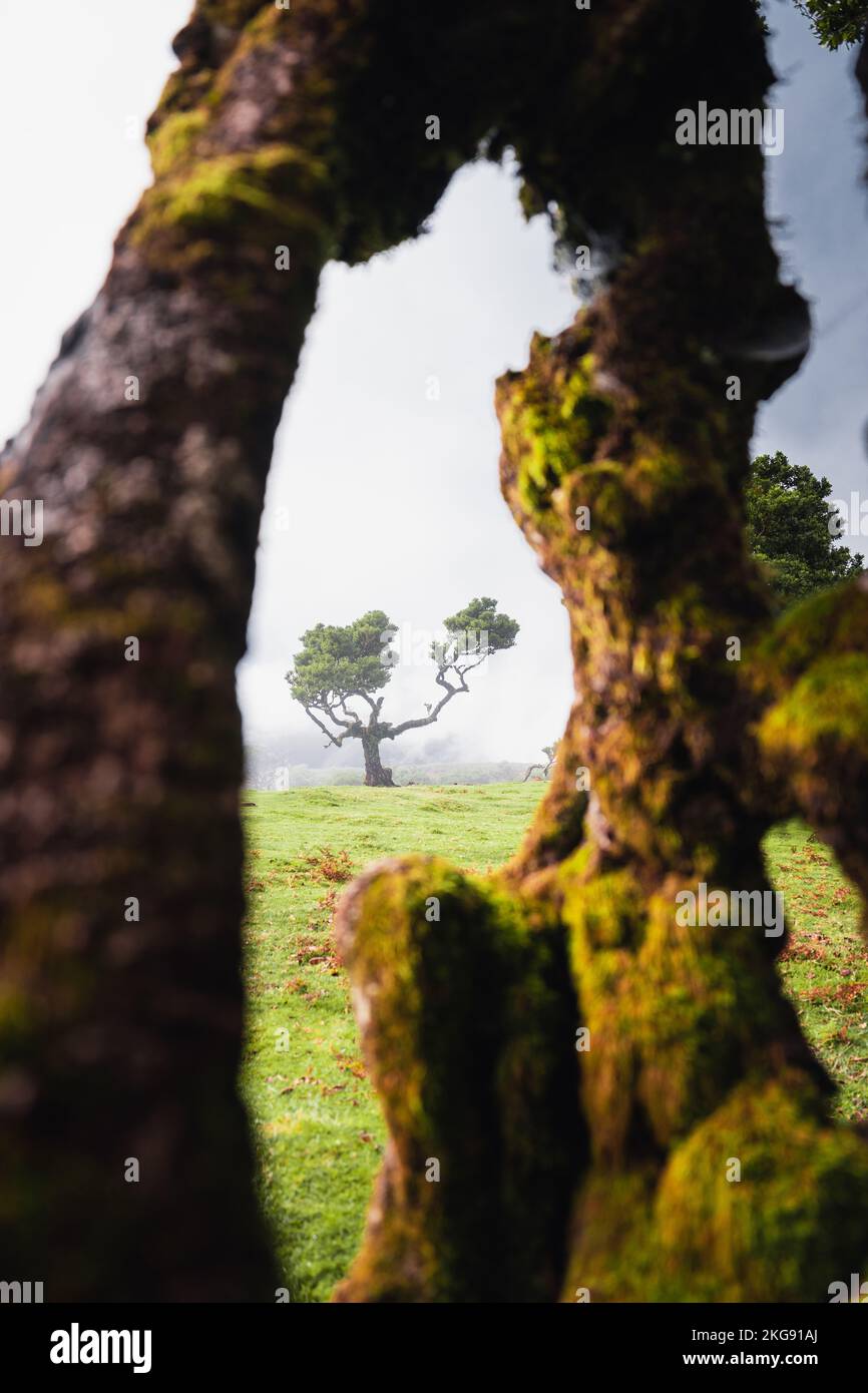 Amazing photos from Madera Portugal with beautiful light and stunning ...