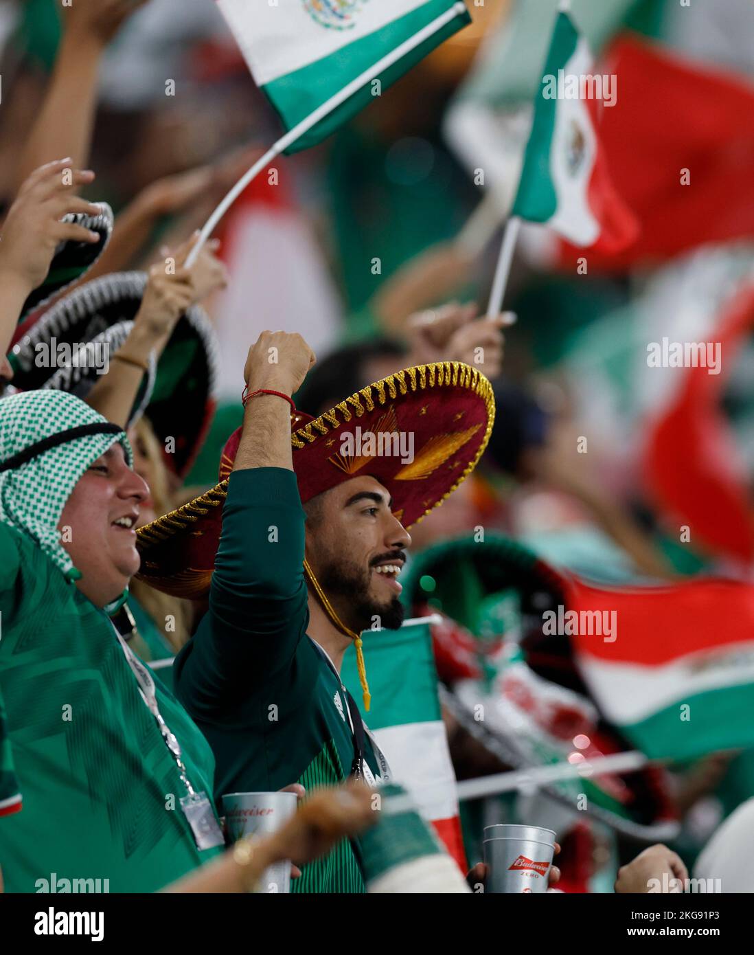 Doha, Qatar. 22nd Nov, 2022. Fans cheer prior to the Group C match ...