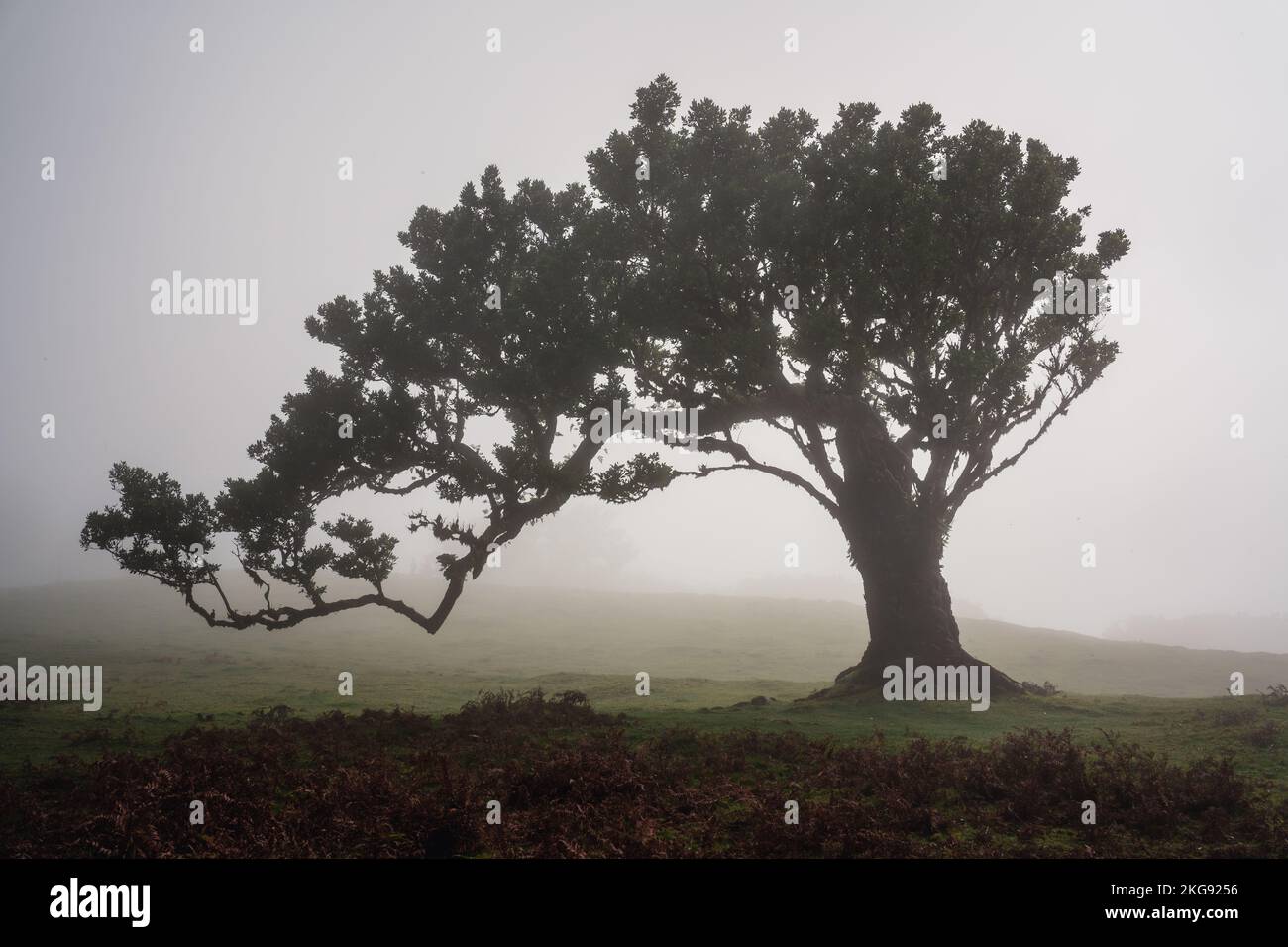 Amazing photos from Madera Portugal with beautiful light and stunning ...