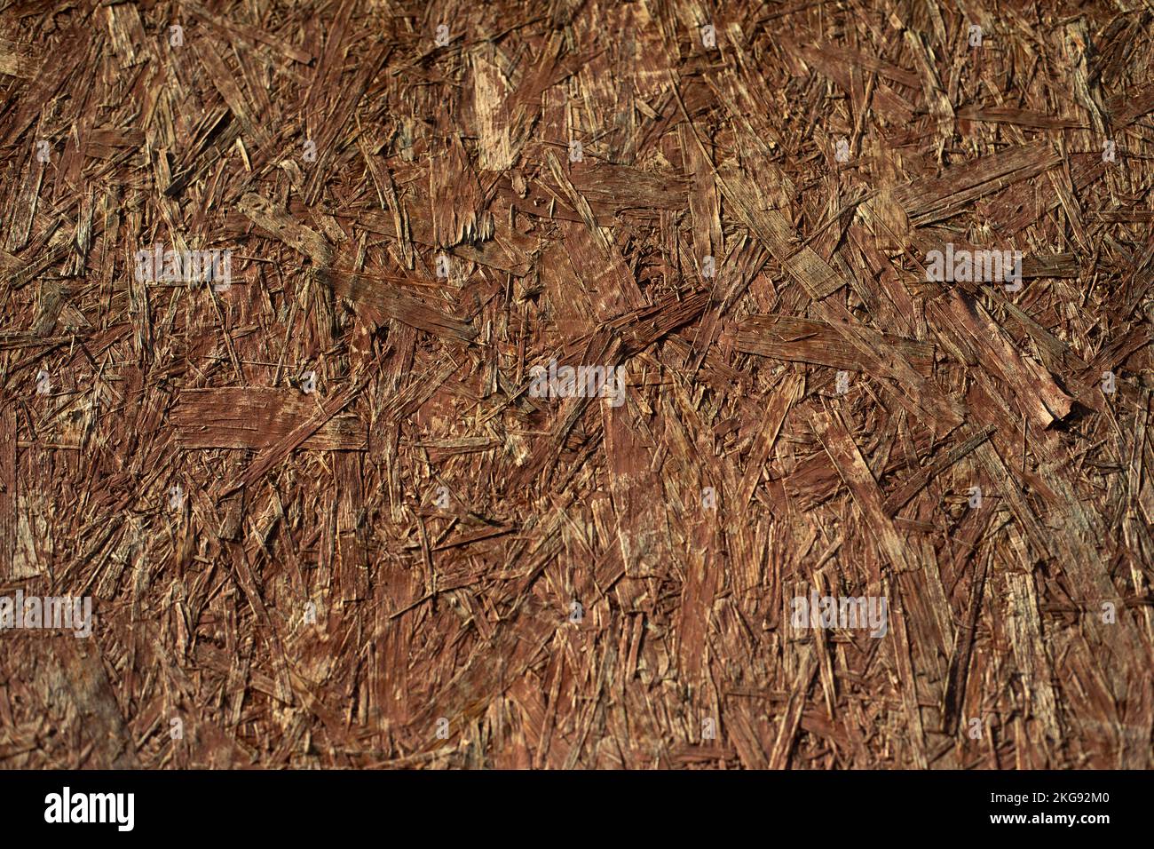 Texture of board. Background of wood. Pressed slivers. Rough surface ...