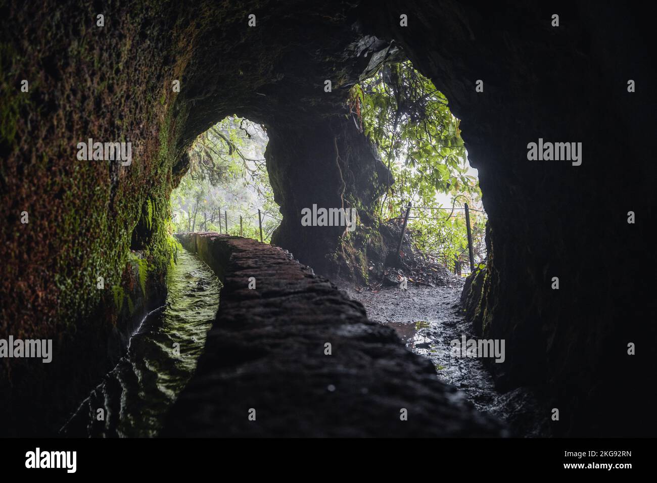 Amazing photos from Madera Portugal with beautiful light and stunning ...