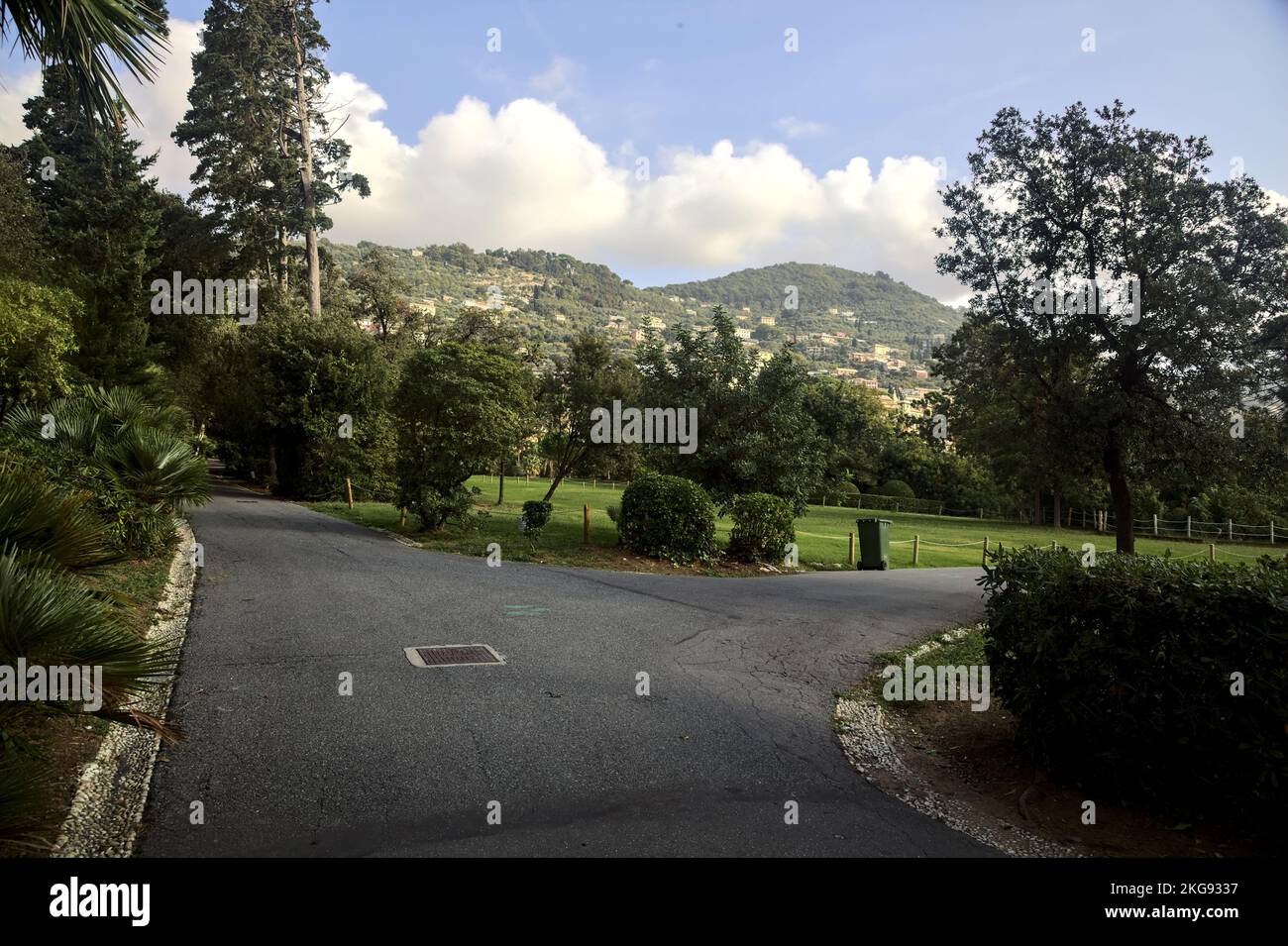 Bench between two trees in hi-res stock photography and images - Alamy