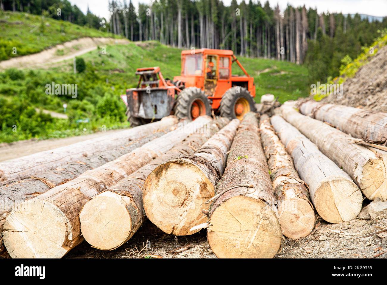 Forest industry. Lumberjack with modern harvester working in a forest ...