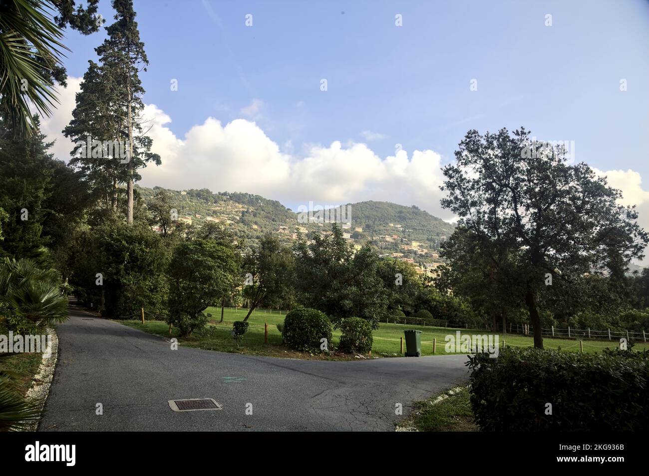Bench between two trees in hi-res stock photography and images - Alamy