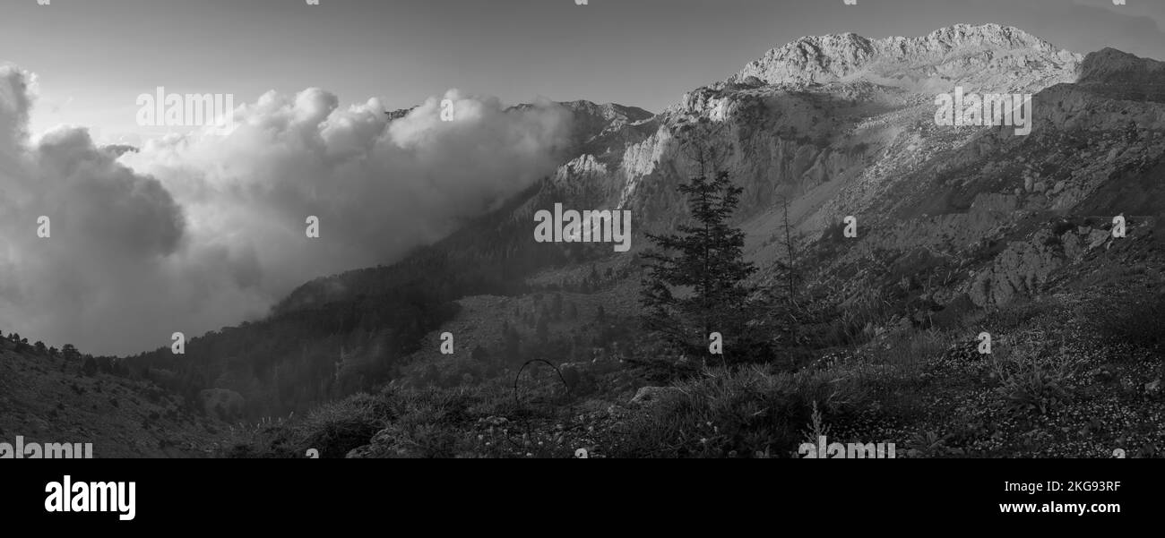 A grayscale scenic shot of a mountain range covered by clouds with ...