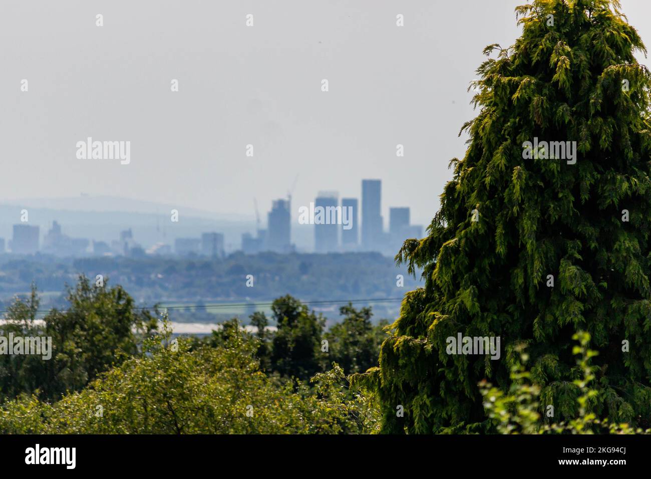 A landscape of a beautiful green meadow on the background of a city ...