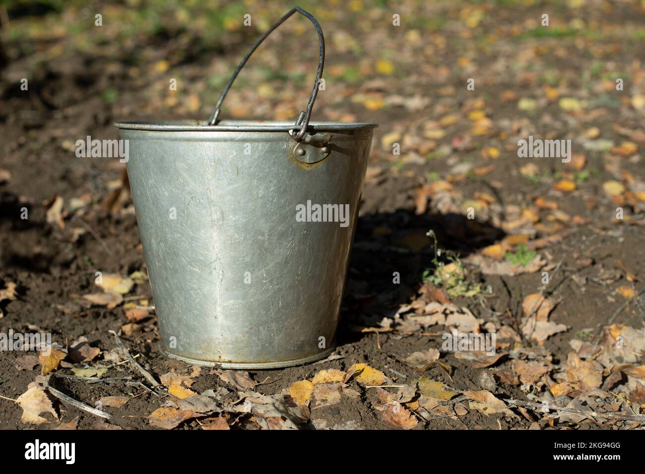 Steel water bucket. Bucket of water in garden. Garden tools for ...