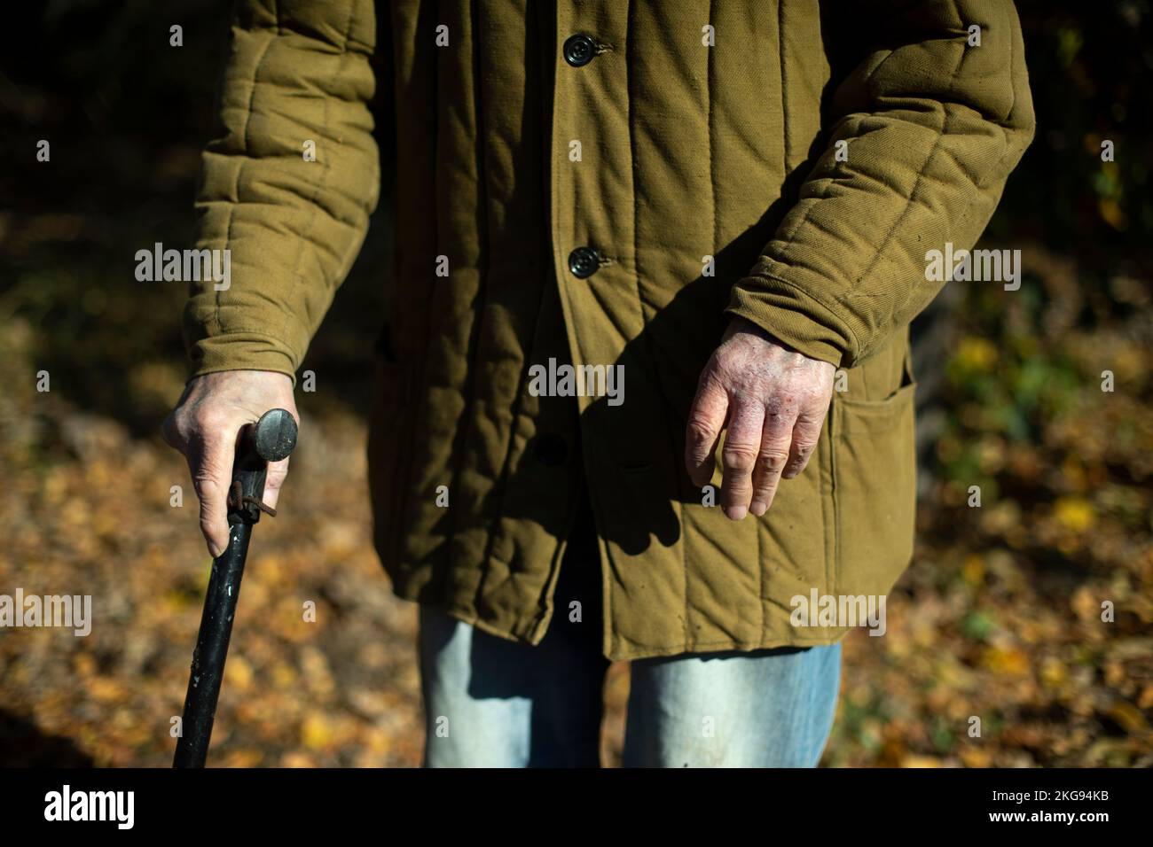 Old man with pole for support when walking. Old hands. Man in poor ...