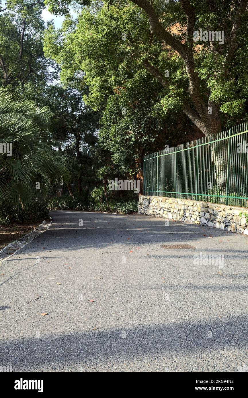 Path in a park bordered by a green fence Stock Photo - Alamy