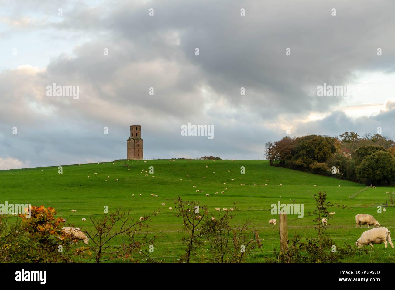 The 18th century Horton Tower, also known as Sturt’s Folly, in Horton ...