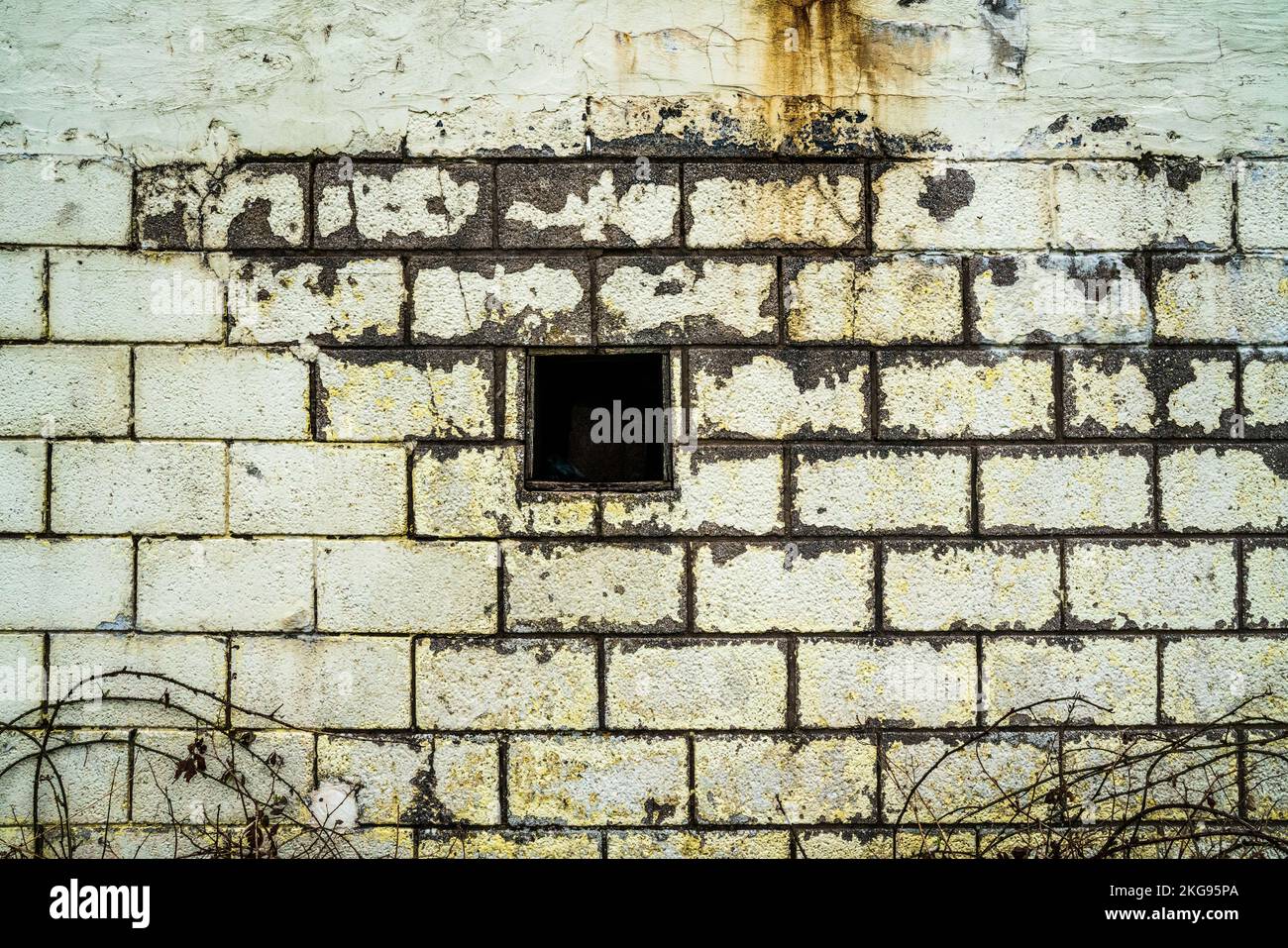Peeling paint on block wall Stock Photo - Alamy