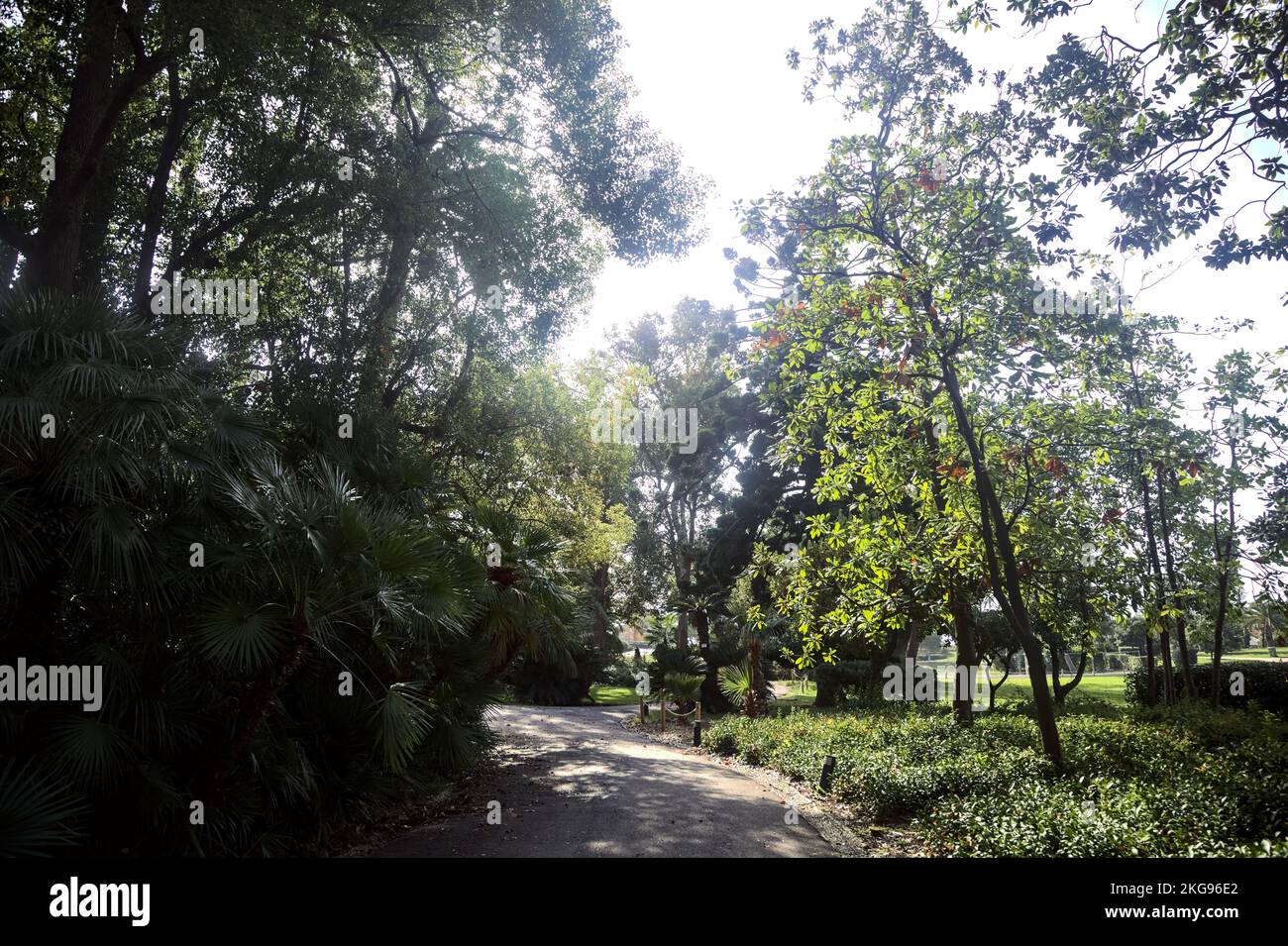 Gravel path in the shade in a park with trees and plants on both sides ...