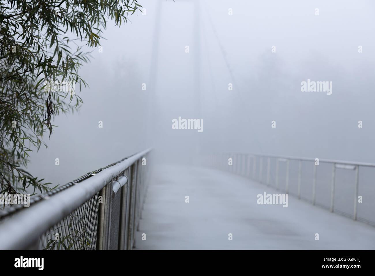 Suspension bridge in the morning mist, Salzburg, Austria Stock Photo ...