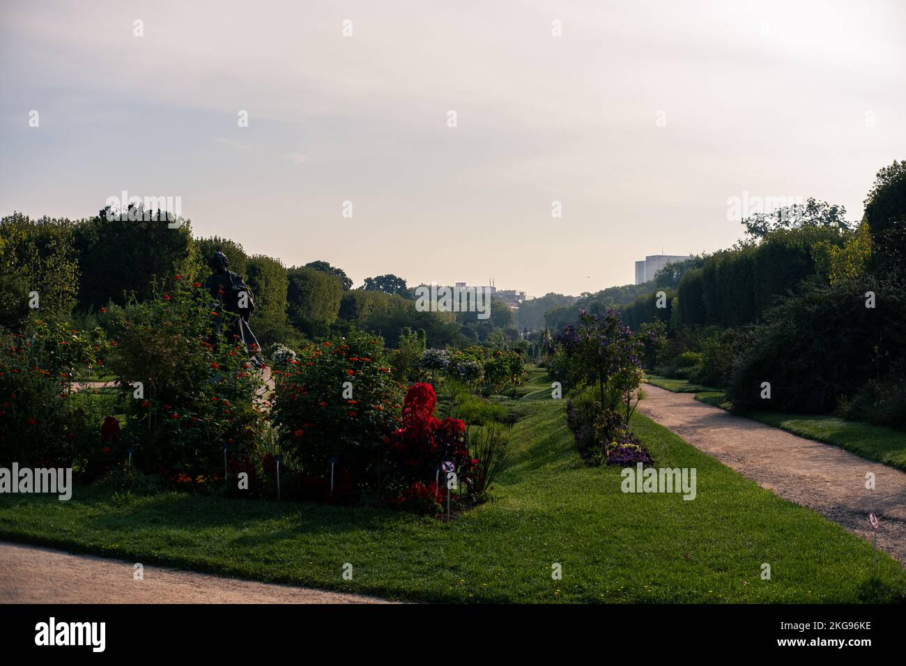 Graden plants hi-res stock photography and images - Alamy