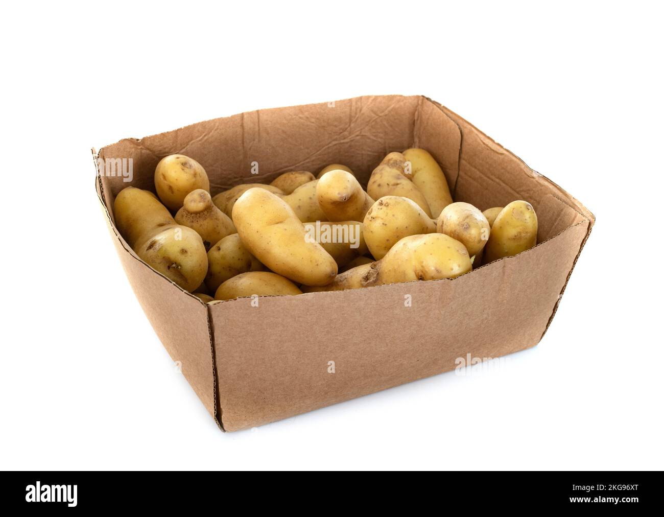 Ratte potato in front of white background Stock Photo - Alamy