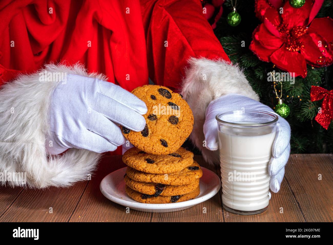 Santa Claus eating cookie and milk. Santa hands picking cookie and milk ...