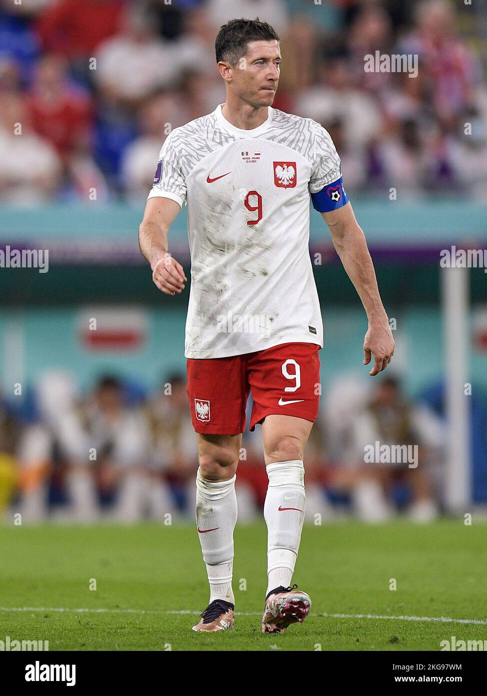 DOHA, QATAR - NOVEMBER 22: Robert Lewandowski of Poland during the ...