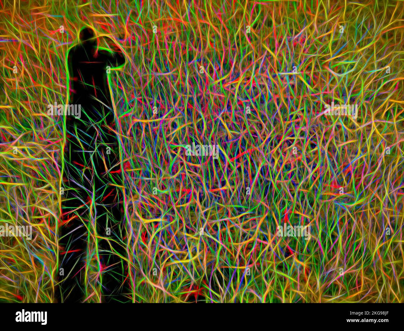 Landscape impression illustration of a long legged, lonely, dark shaded ...