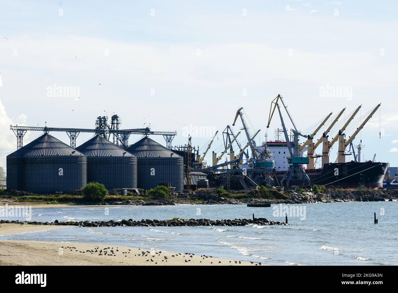 Port view with grain terminal silos, many shore cranes and bulk ship ...