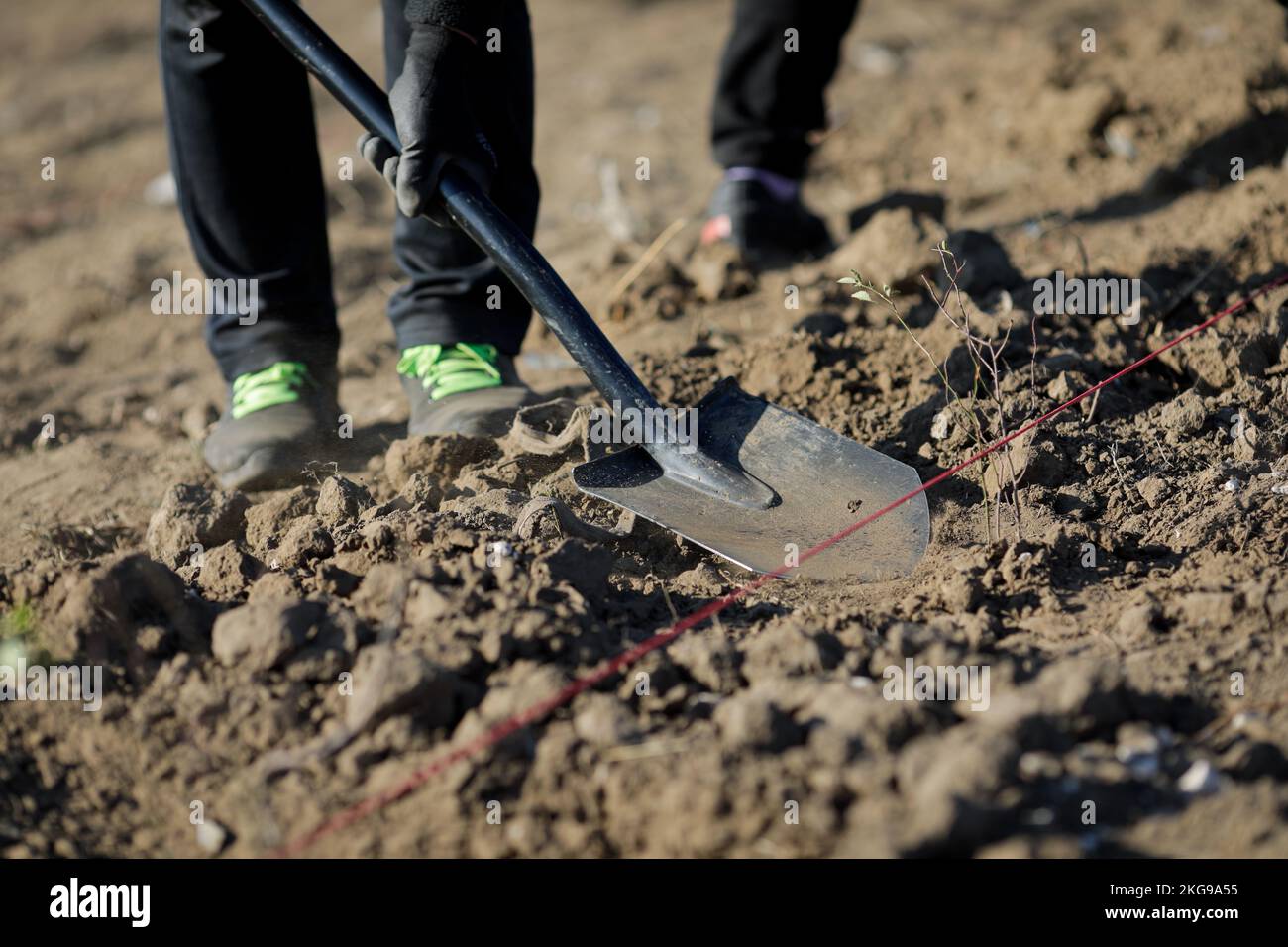 Details with a person shovelling dry, arid and dusty soil during a ...