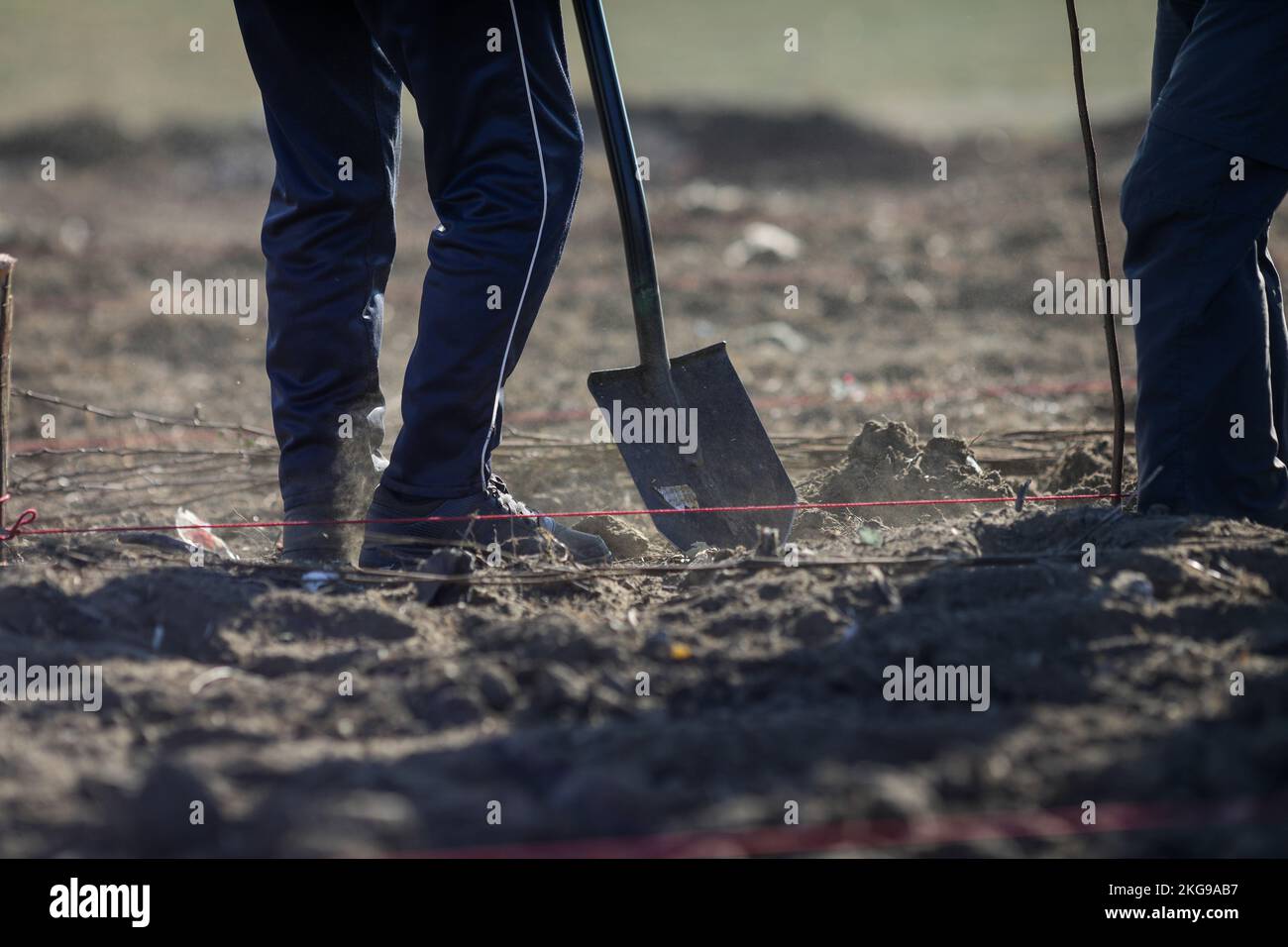 Details with a person shovelling dry, arid and dusty soil during a ...