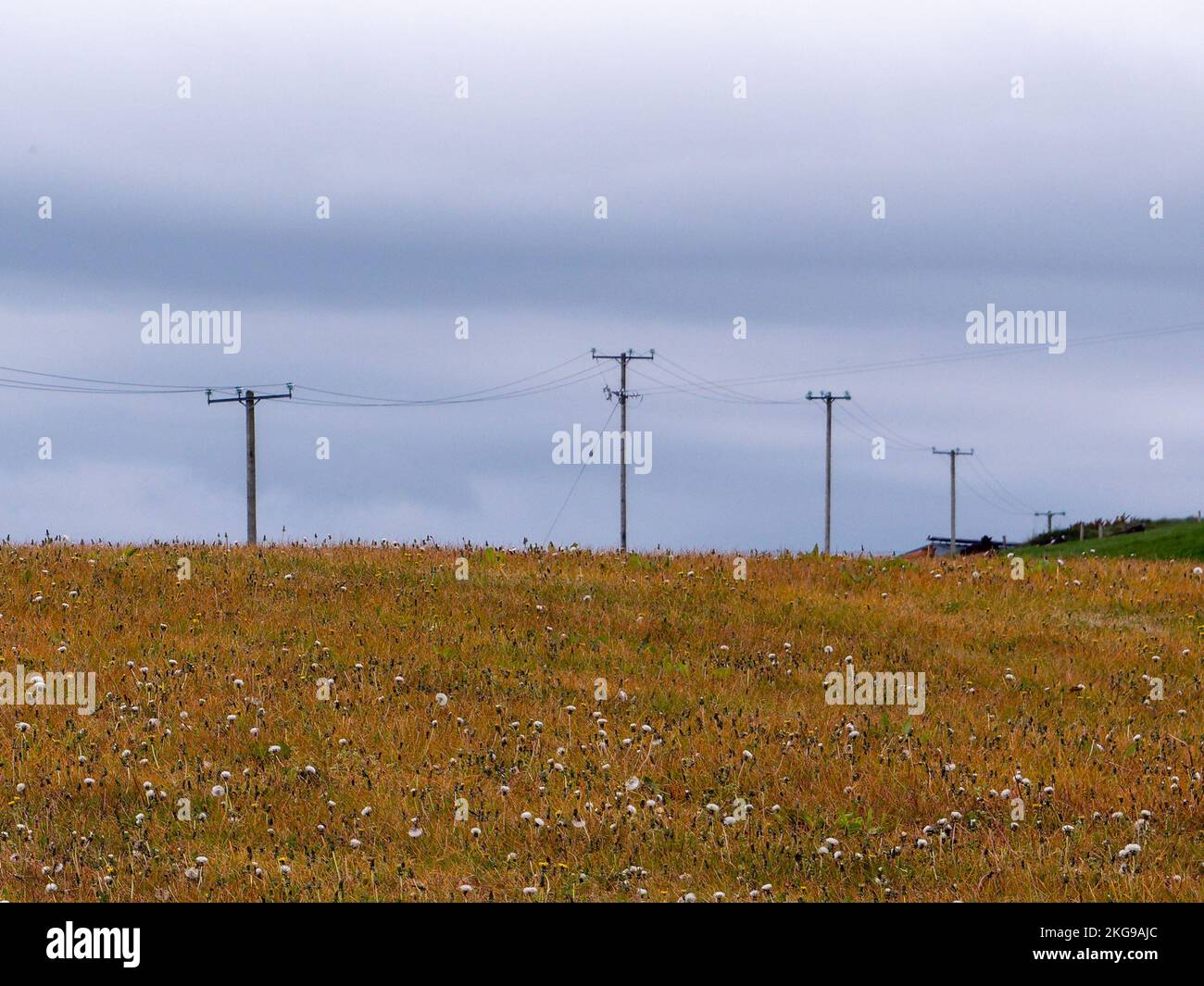 A power lines in a field under the sky. Minimalistic landscape. Black ...