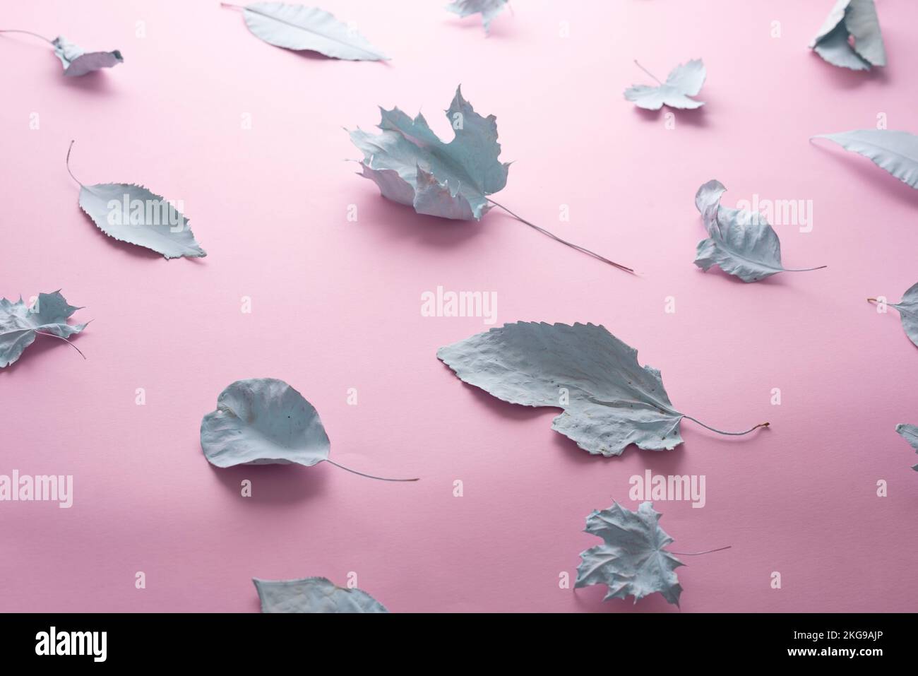 autumn pastel background blue leaves in paint on a pink background ...