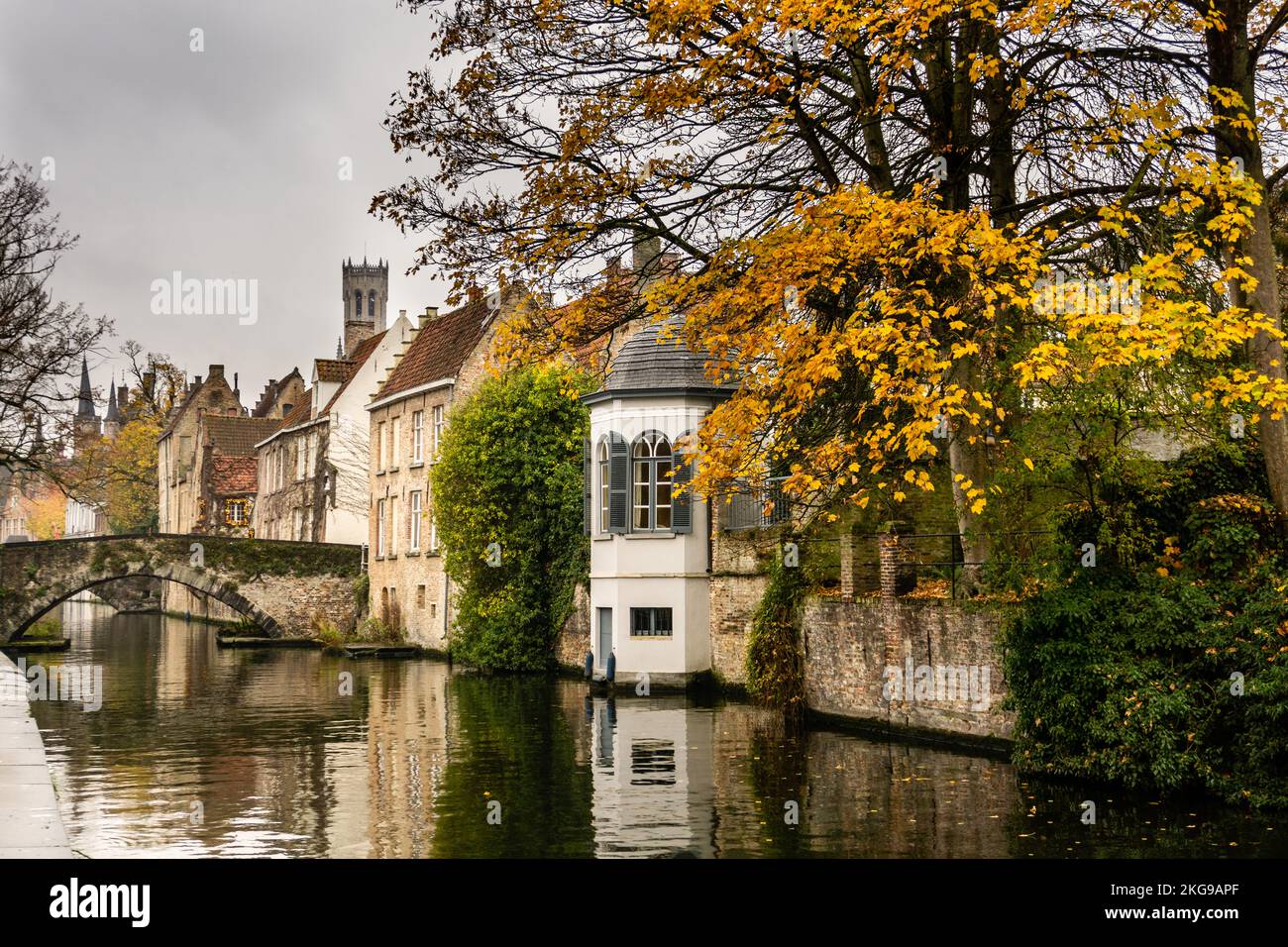 Falling leaves during autumn in Bruges, Belgium Stock Photo - Alamy