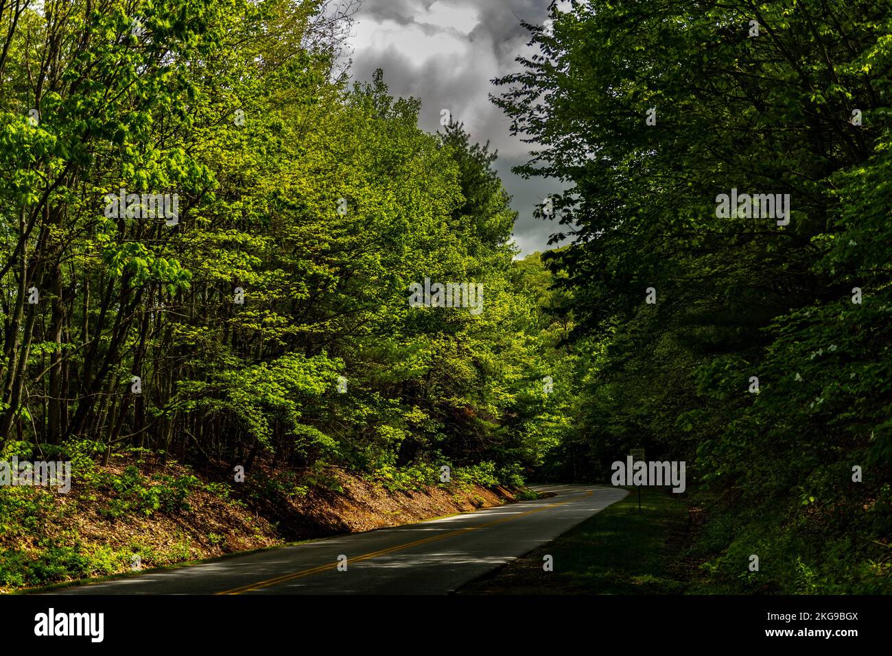 A rural asphalt freeway in South Carolina surrounded by scenic greenery ...