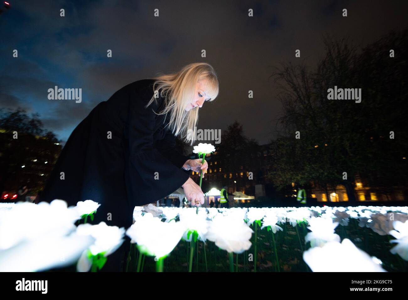 A person dedicates a rose in memory of a loved one, at Royal Marsden's ...