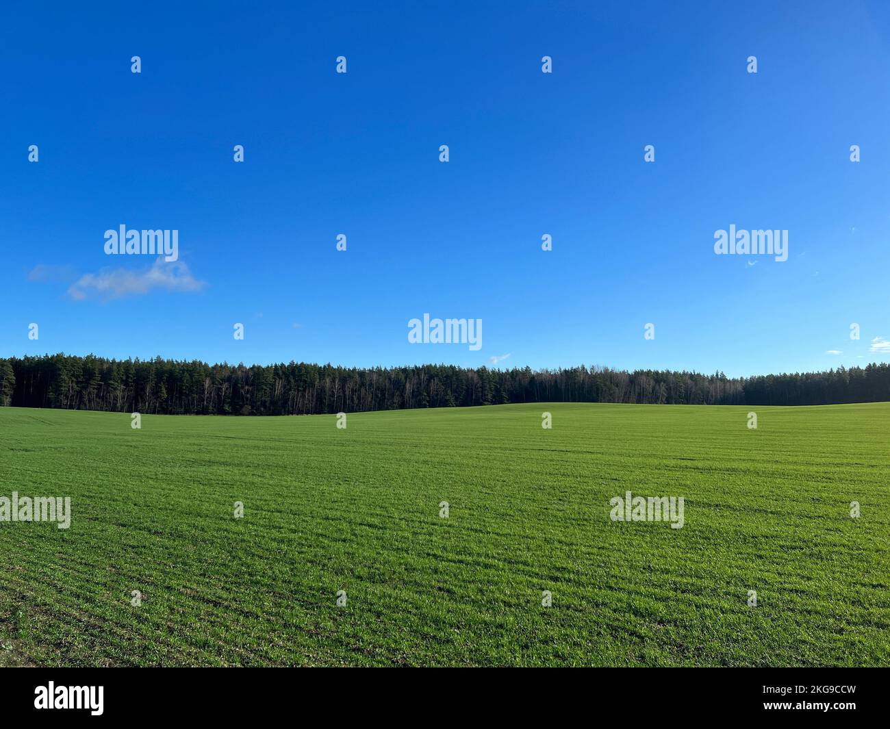 Field, forest and sky in spring Stock Photo - Alamy