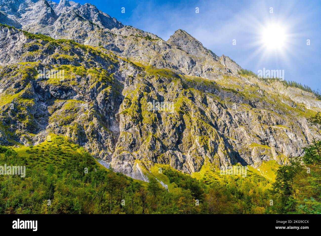 Alps mountains covered with forest in Berchtesgaden National Park ...